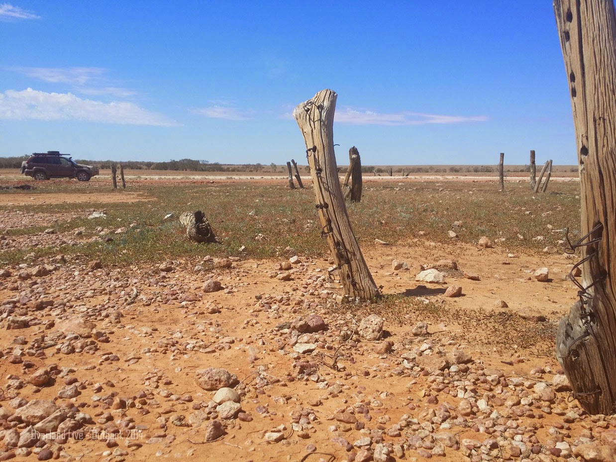 Overland Live - Overland Expedition & Adventure Travel : The Outback ...