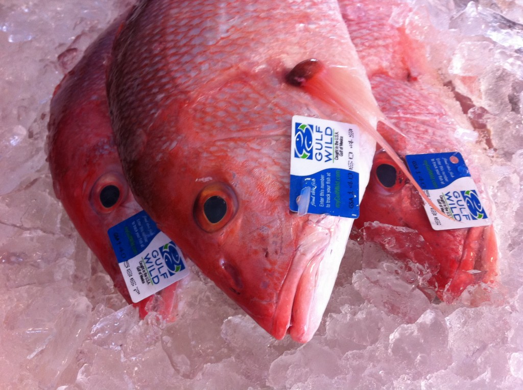 How Old Are Red Snapper Max Age - Red Snapper Fish, Red Snapper Fish ...