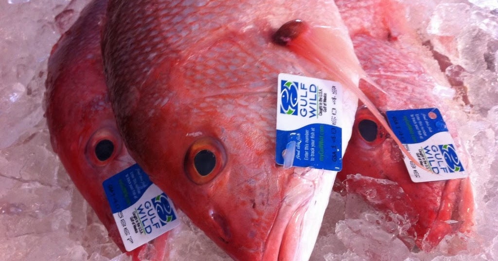 How Old Are Red Snapper Max Age - Red Snapper Fish, Red Snapper Fish ...