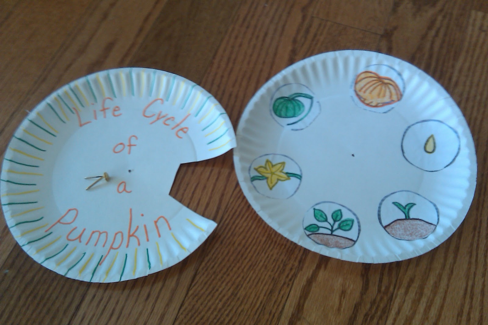 The Three Bears Get Crafty: Life Cycle of a Pumpkin