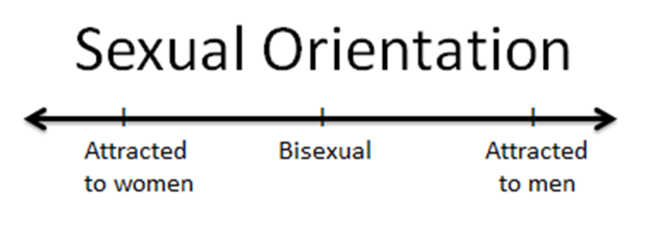 Meticulous Musings: Understanding Sexual Orientation