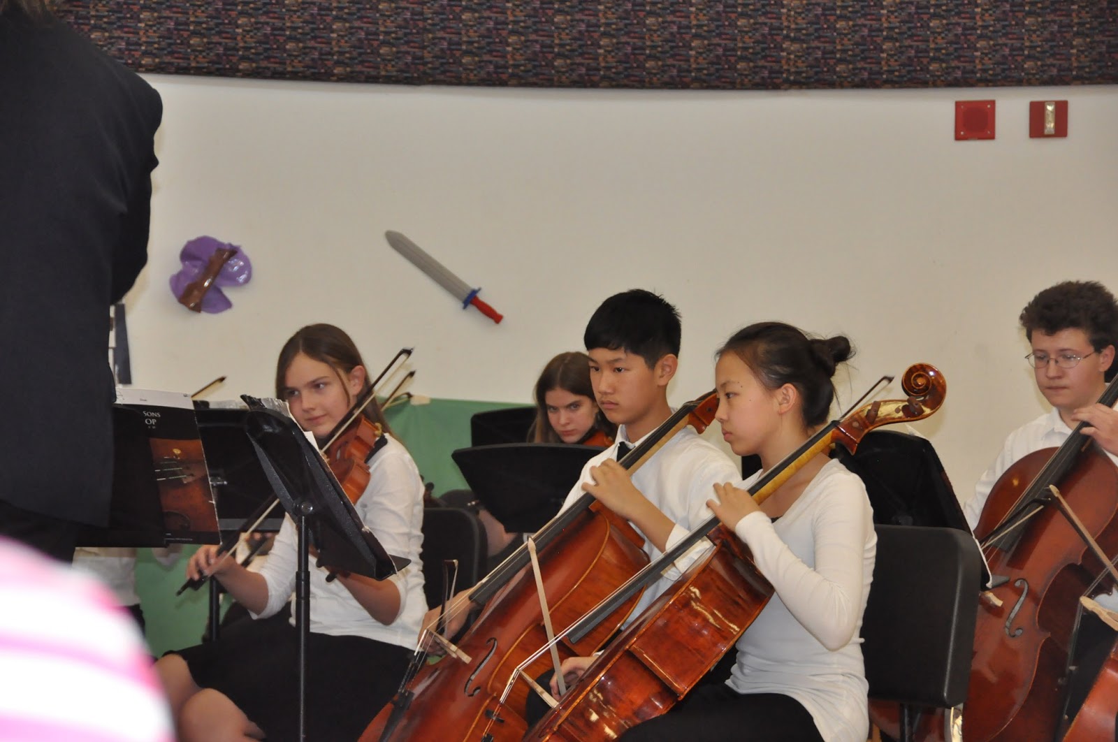 Adventures of the Girls and their Little Brother: Final Middle School ...