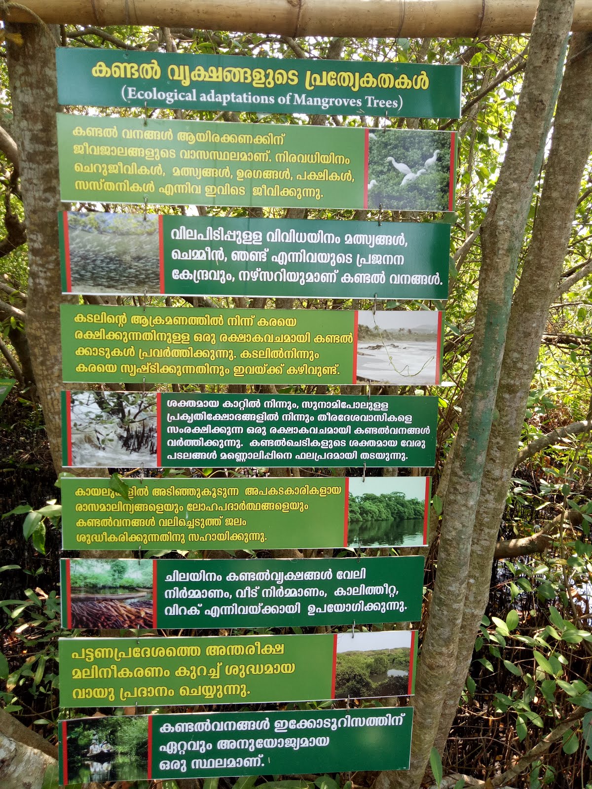 DILROSE BLOG .... visit and subscribe DILROSE VLOG and SHARE YOUR IDEAS ...