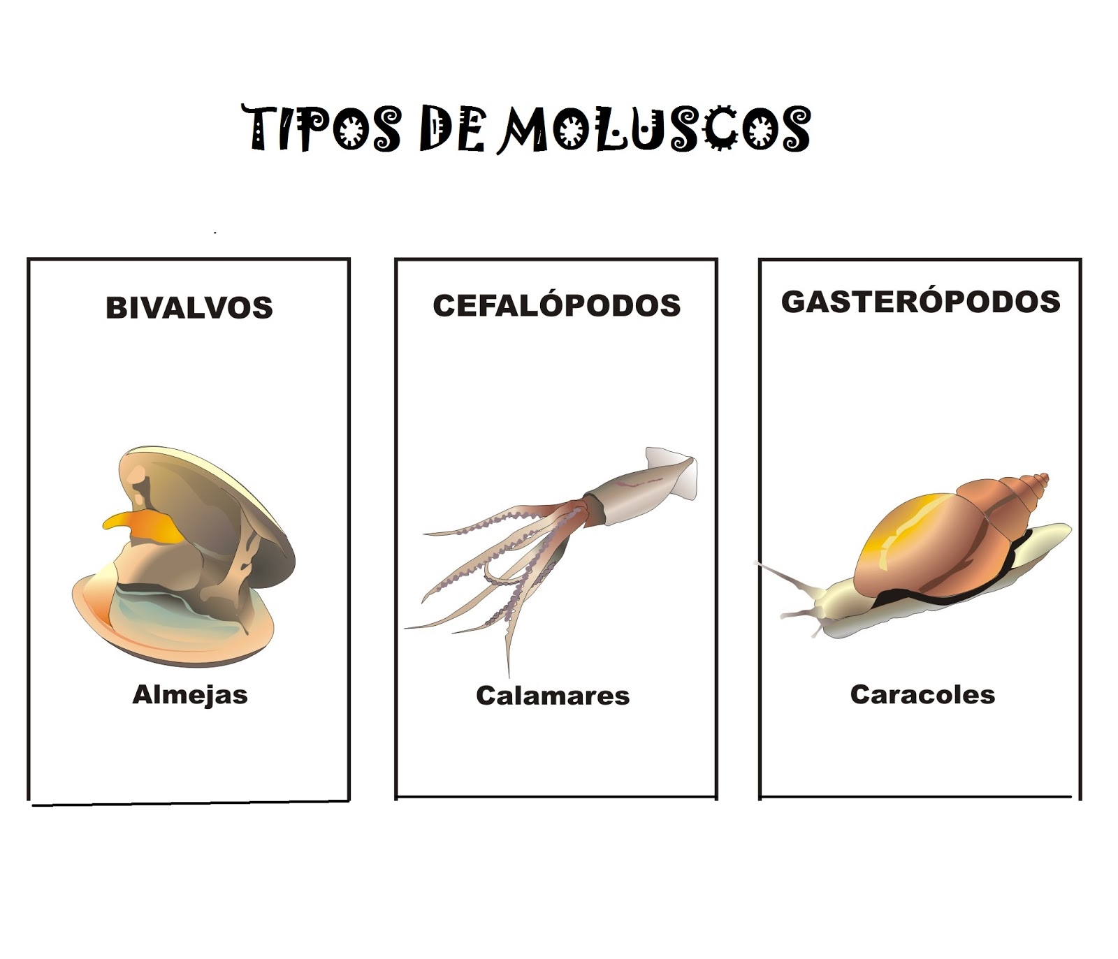 Mis Aventuras En Tercero... y ahora Cuarto: Moluscos