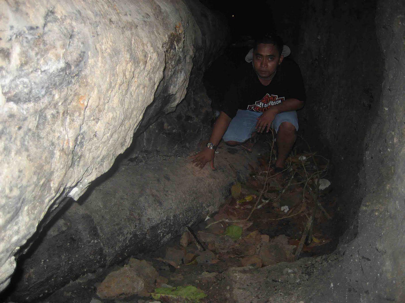 Fossil Wood indonesia: Digging Out Petrified Wood Process