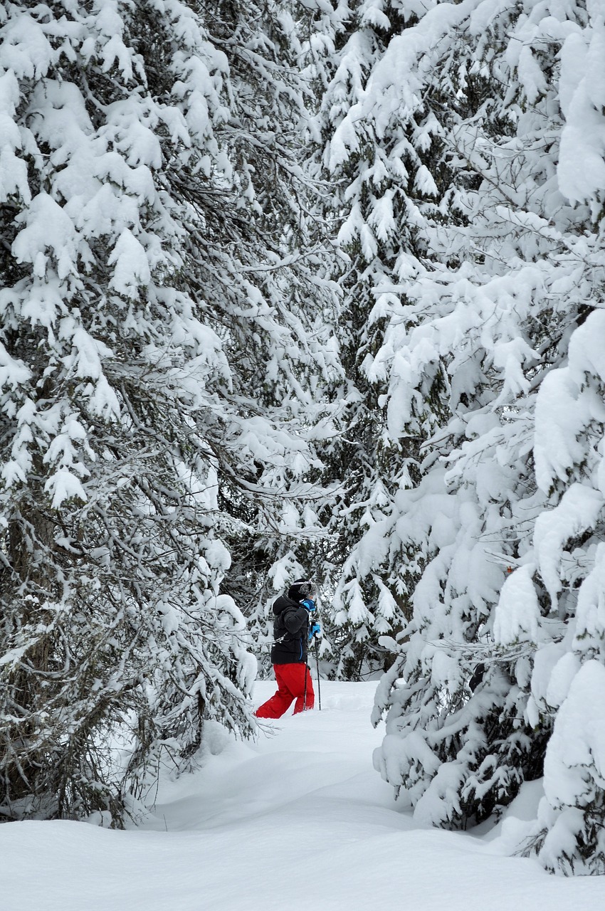 AAA State of Play Blog: 9 Benefits of Snowshoeing for the Whole Family