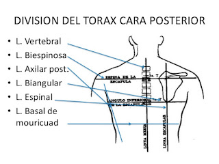 Mercedes Laura Pacheco - Semiología Quirúrgica UTESA Santiago -: Examen ...