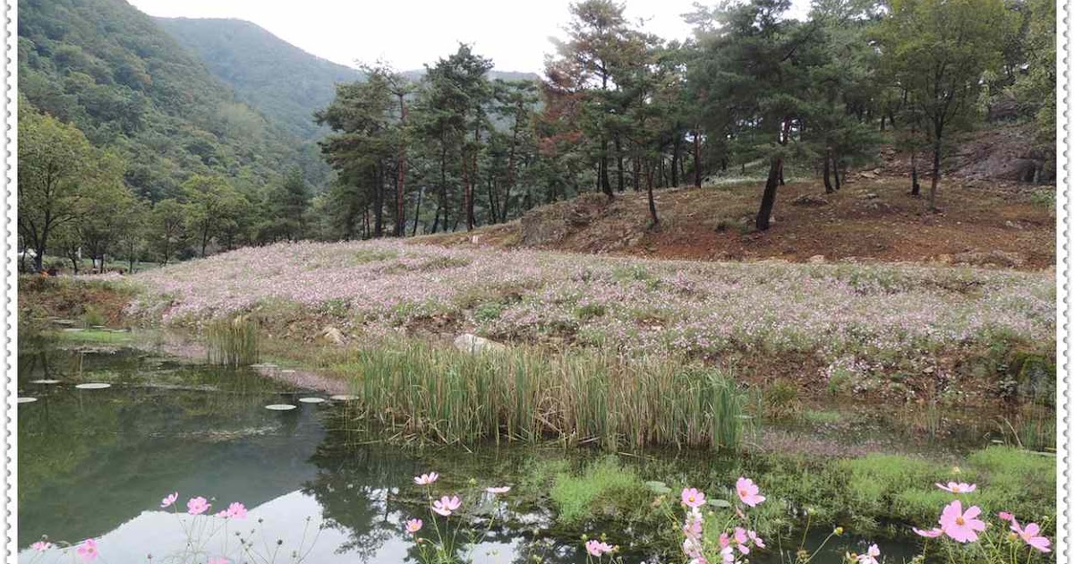 The Scriptures: Mark-05-08