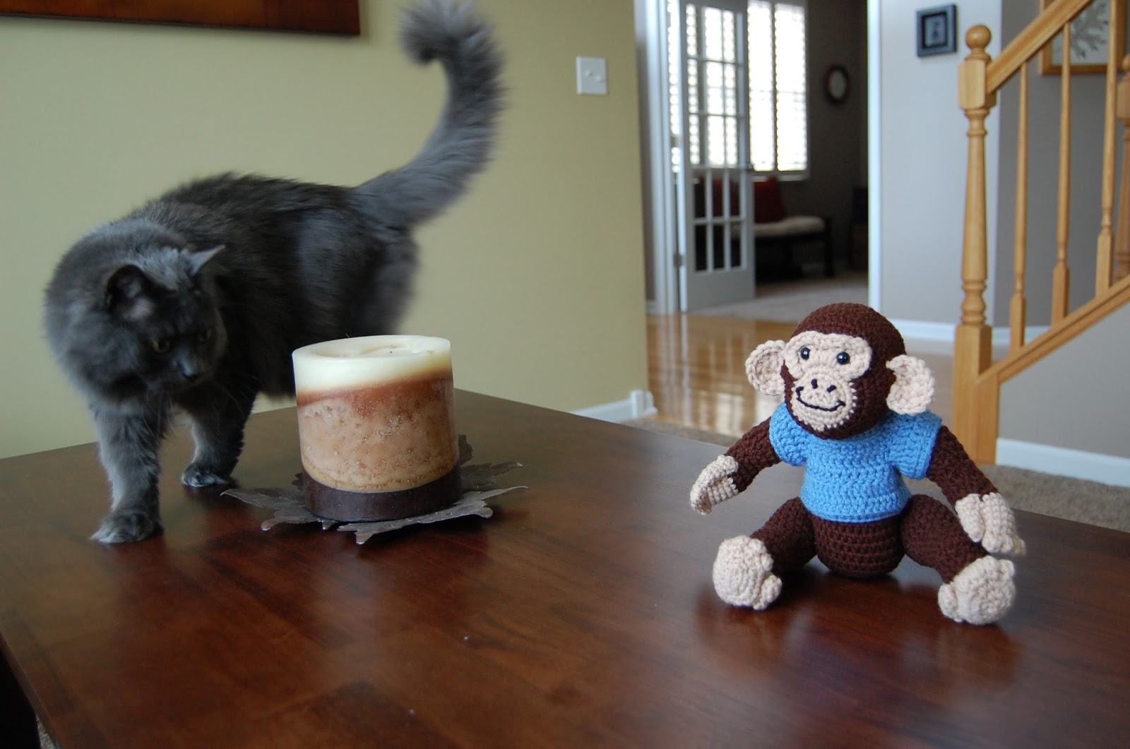 Roonie Ranching: Toby's Chimp (with an assist from Bobo Cat)