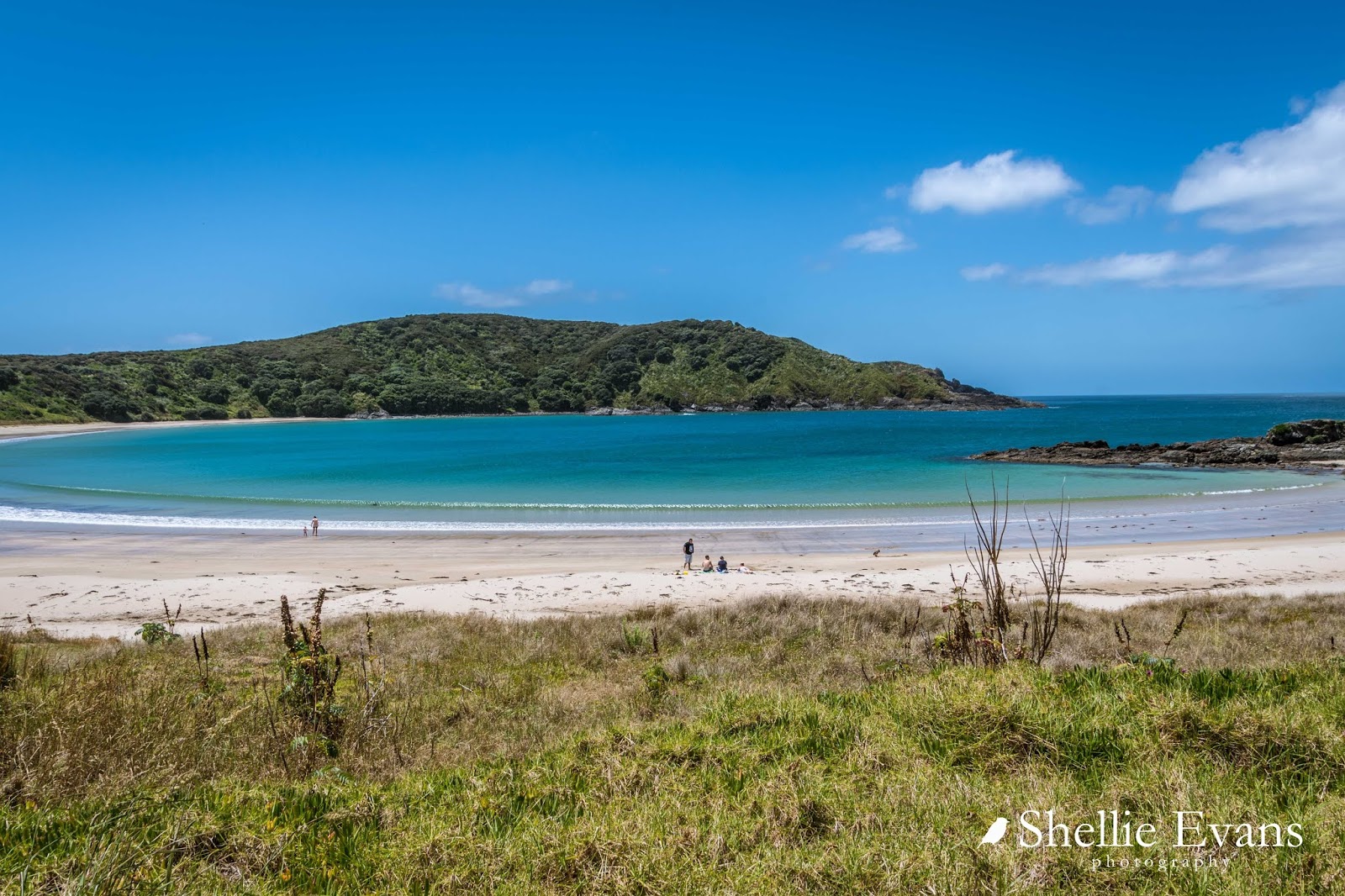 Two Go Tiki Touring: Magnificent Maitai Bay- Karikari Peninsula