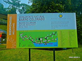 El viajero anecdótico: La isla de Barro Colorado. La historia sumergida ...