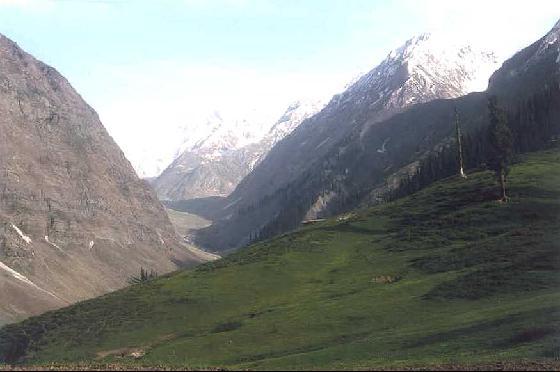 Marvelous Pakistan: Beautiful Pakistan: Lalazar