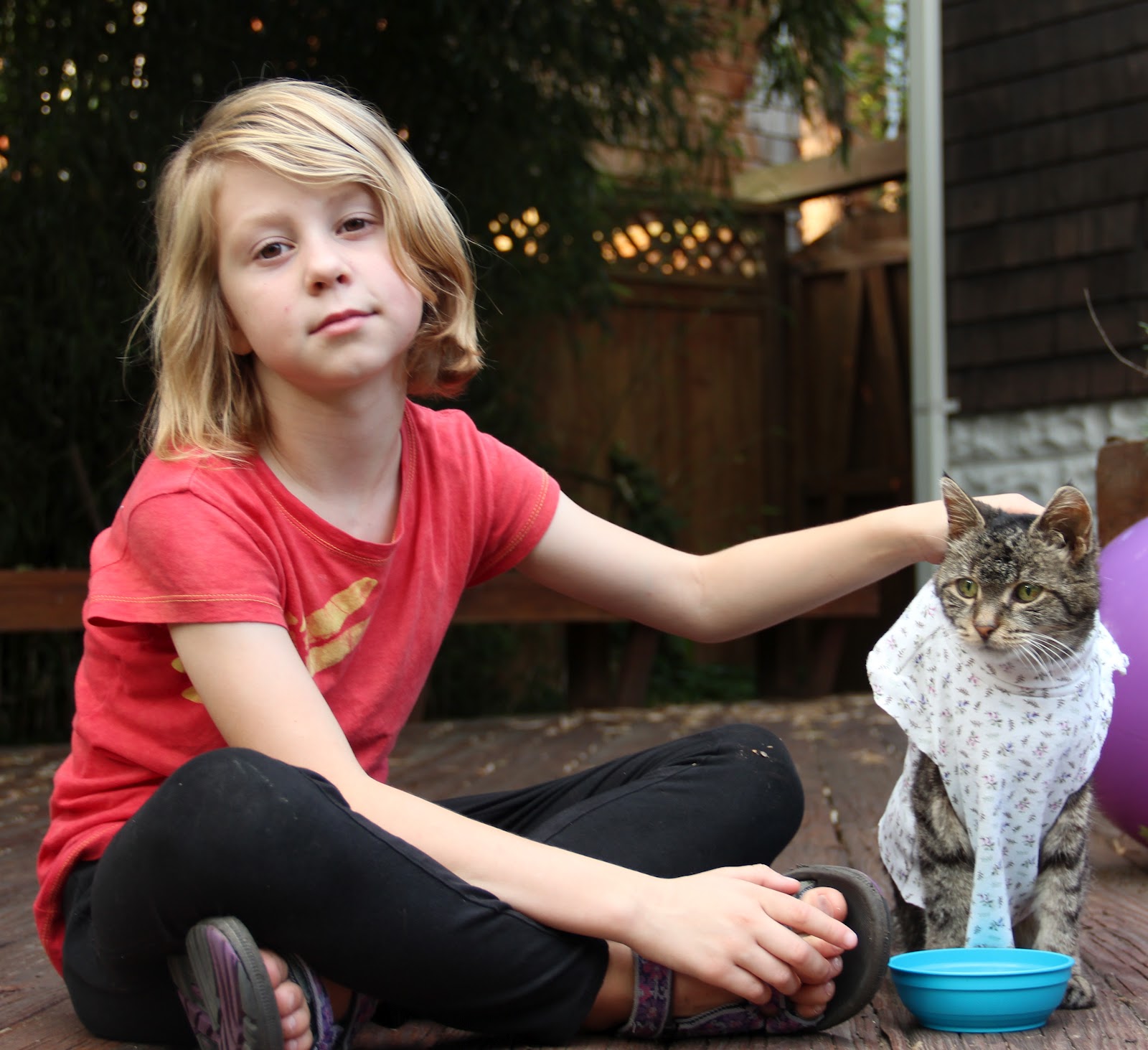 Log of s/v Del Viento: Gypsy Lore By Michael