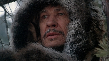 The Shrine of Charles Bronson: Review: Death Hunt - 1981