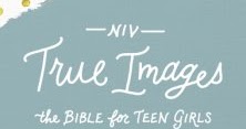 NIV True Images Bible | Review