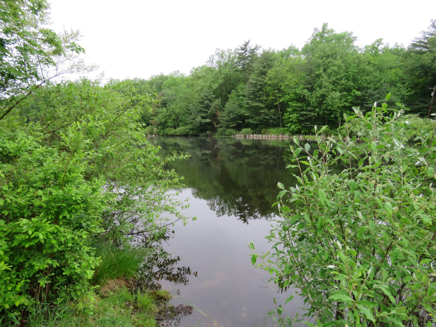 Gone Hikin': Stokes State Forest, NJ - Red Maple Trail with Tillman Ravine