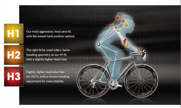 All About Road Bike: Trek Road Bike Guide and Sizing