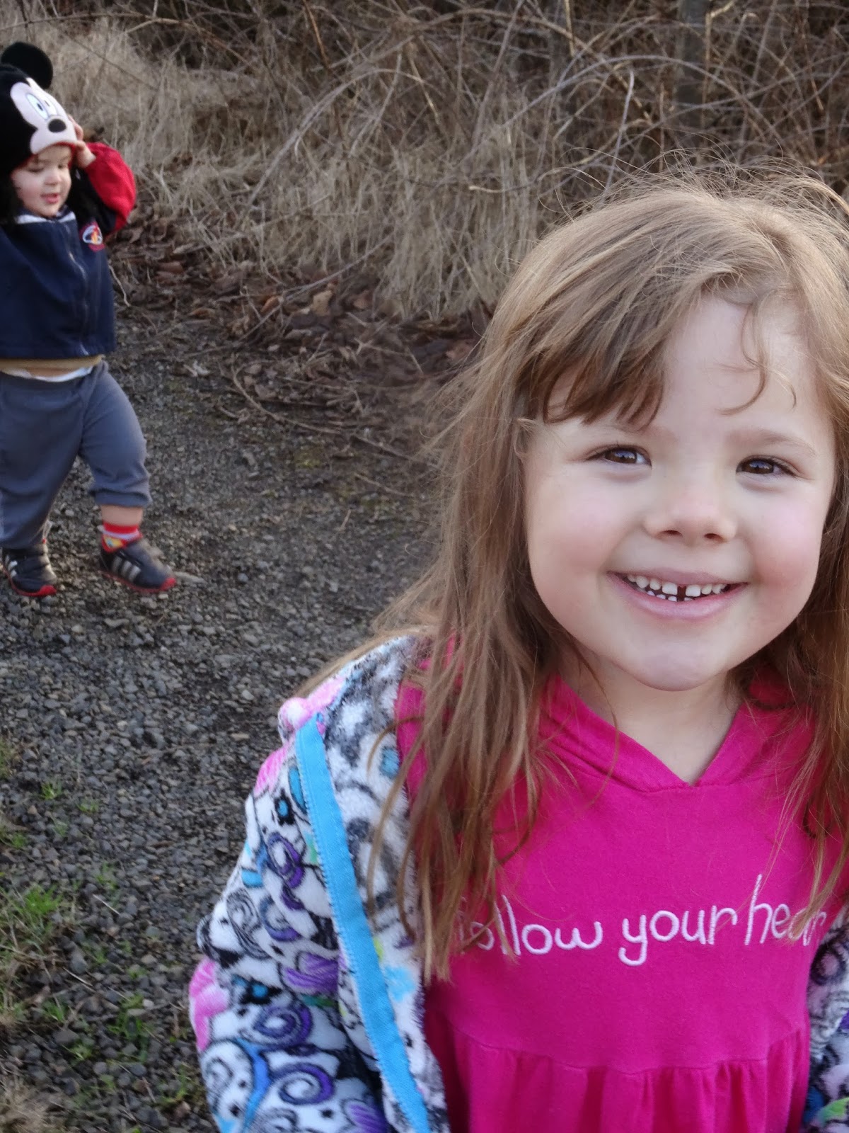 Where the Stream Runs Blue: Week in Review: Oak Meadow Kindergarten ...