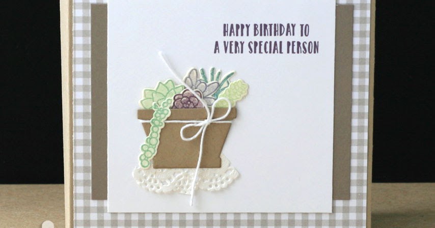RunningwScissorsStamper: SSC149 Succulent Shadow Box Card & Blog Candy!