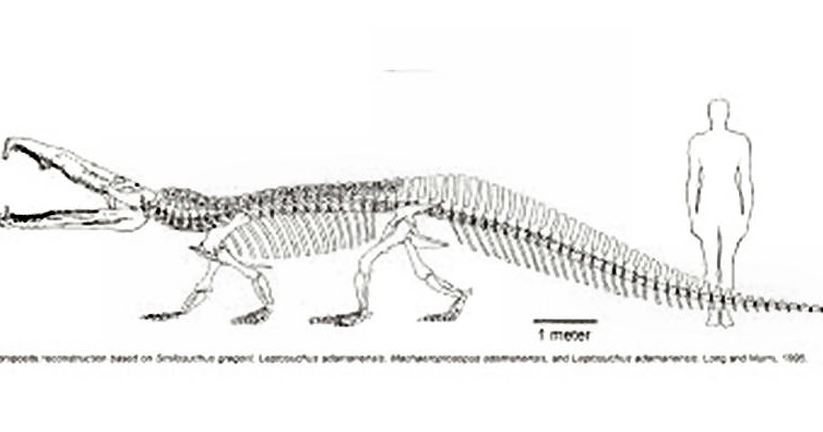 Rockhounding the Rockies: Phytosaur's Tooth in WY