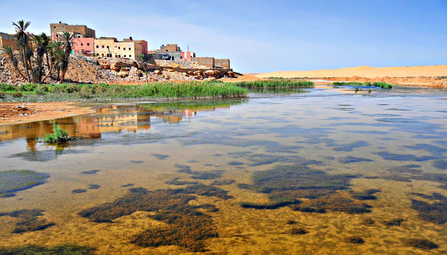 Every Day Is Special: November 6 – Green March Day in Morocco
