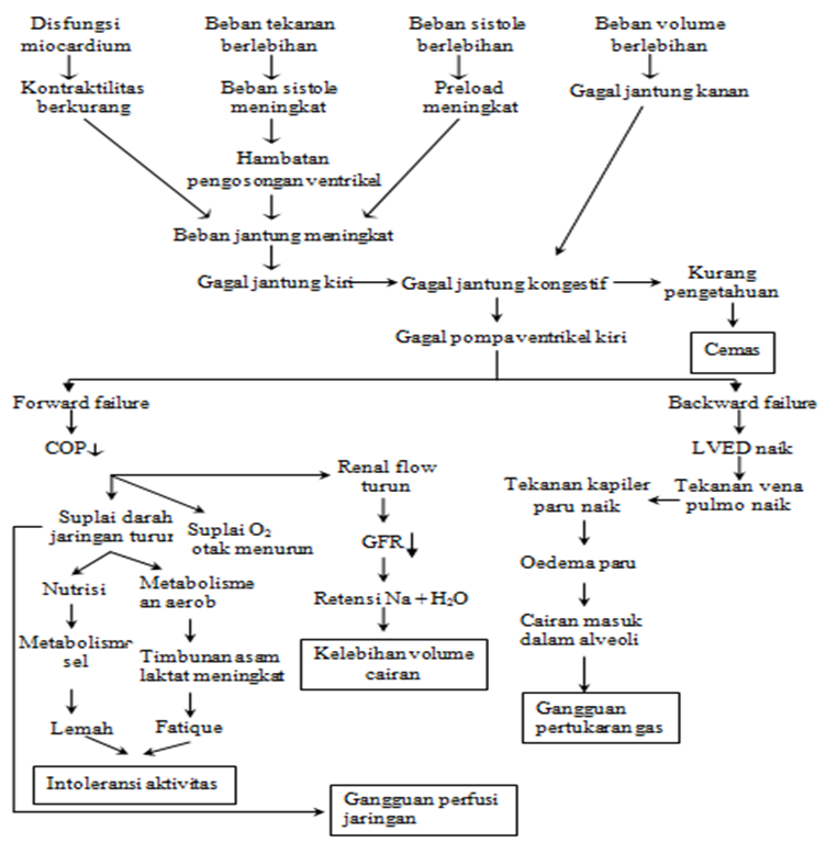 LP dan Askep Congestif Heart Failure