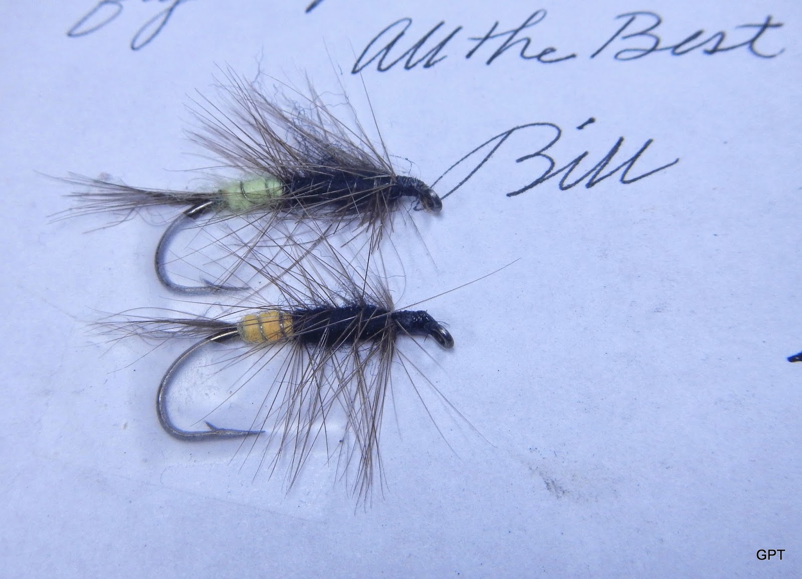 The River's Course: The Lady Becomes a Bug