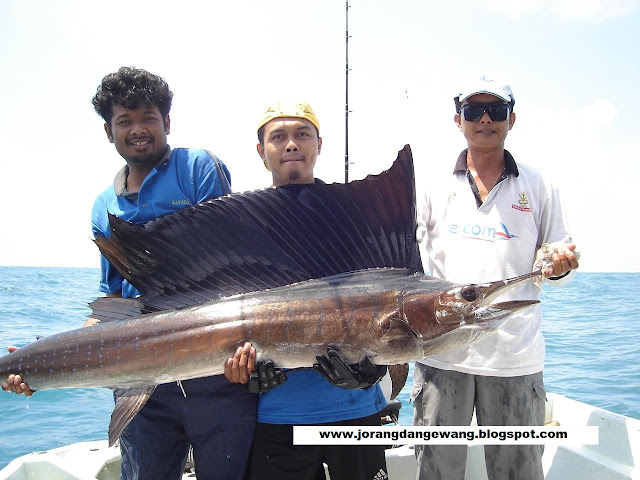 IJAZAH IKAN LAYARAN ROMPIN - LUBUK PANCING