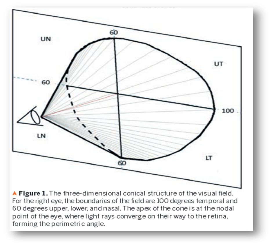 GLAUCOMA SPECIALIST BLOG: "THE GLOG": VISUAL FIELD ANALYSIS PART 1