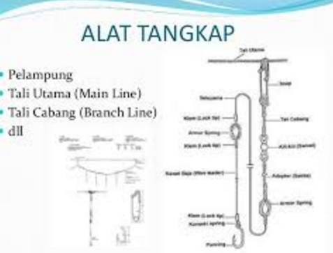 ALAT TANGKAP IKAN LONG LINE - IKAN DAN LAUT