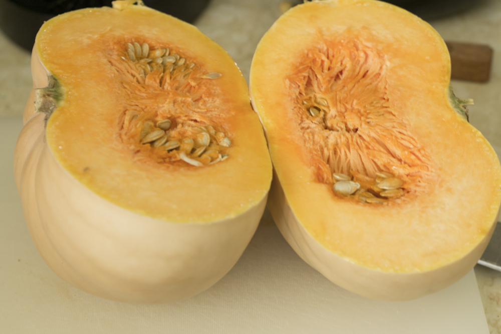 The World in My Kitchen: 2011