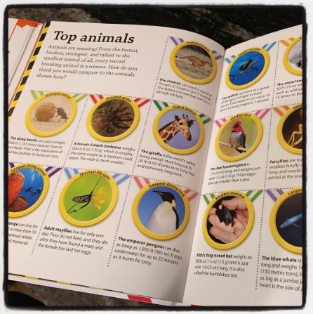 The Library Voice: DK Find Out Is Not Just A Website! There Are Now DK ...