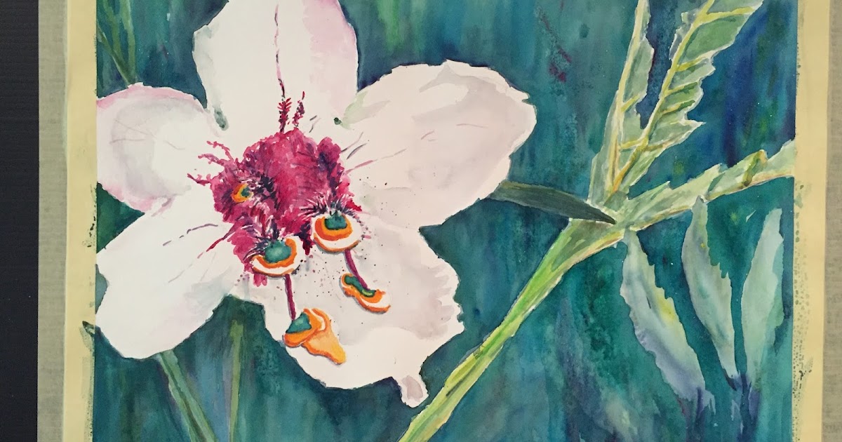 Scribbling With Spirit: Heroic Weed