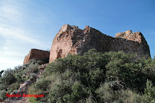 BICHOS Y MAS VLC: DE PASEO POR ALMENARA: EL CASTILLO