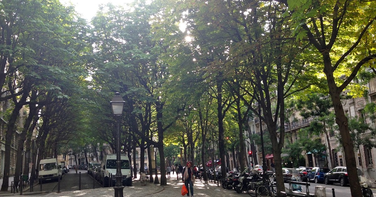 Focus On Paris: A shady street