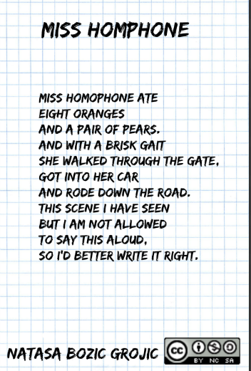 Natasa's blog: Miss Homophone