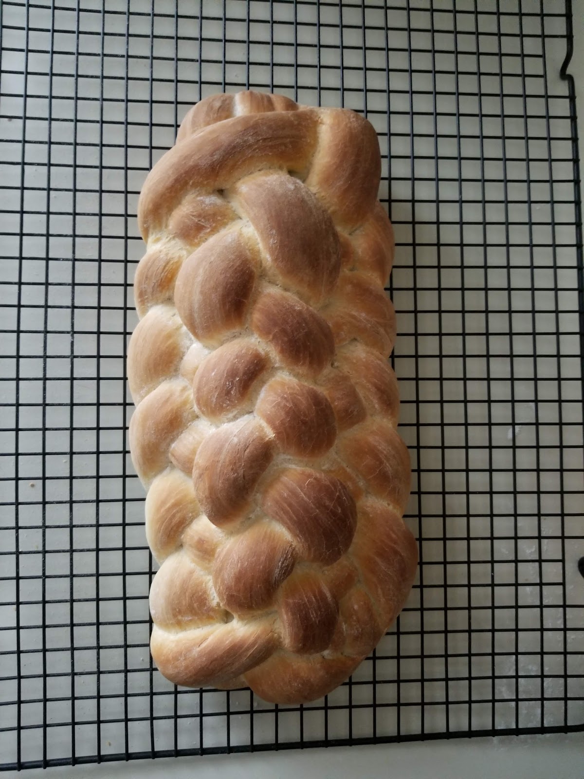 The 8-Strand Plaited Loaf - Lessons Learned