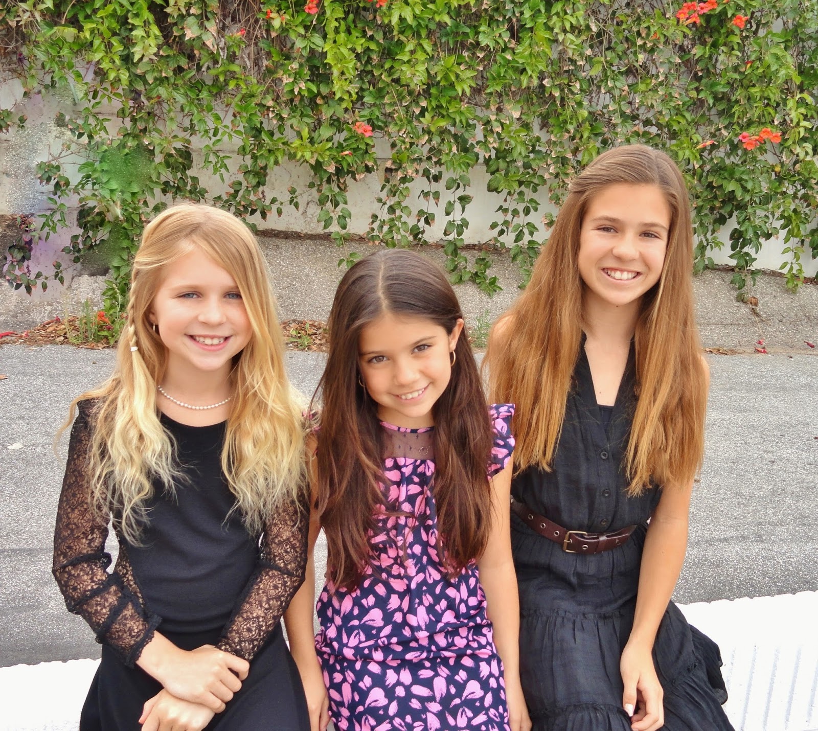 The Daily Lewis: Father Daughter Dance