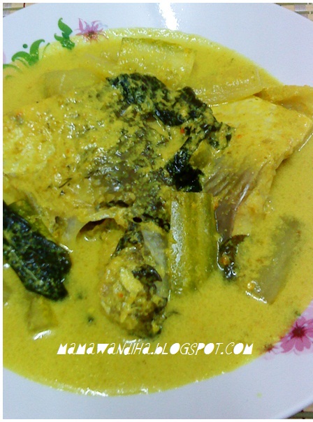 Fuziah Sulaiman blog: INFO Laman - SAYA Perihal KADOK - Khasiat- RESIPI-