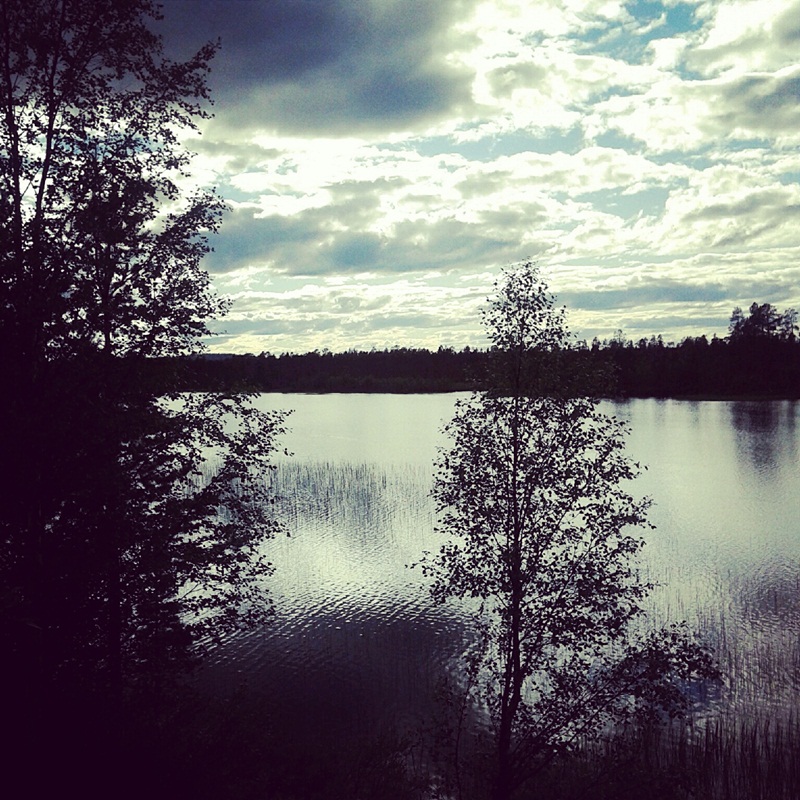 MicroCosmos: insta Finland