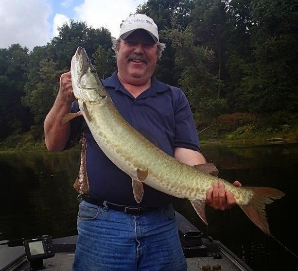 Musky Obsession: Figure 8 Muskies!