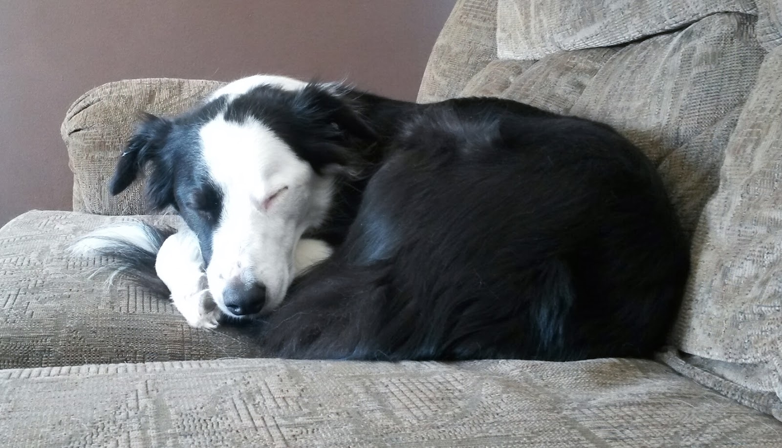 Secret's Journey: Audition & UKI update (LOTS of course maps!)