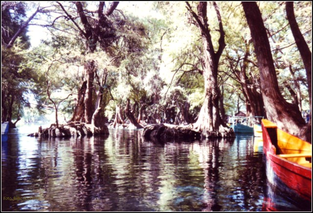 MAGIAS DE MÉXICO: UN PASEO POR EL LAGO DE CAMÉCUARO