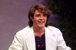 Green Gifts: A Small Tribute to Lee H. Montgomery