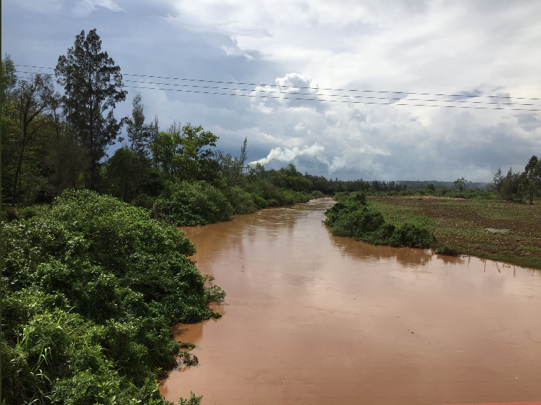Sciency Thoughts: Schoolgirl feared dead after Crocodile attack in Homa ...