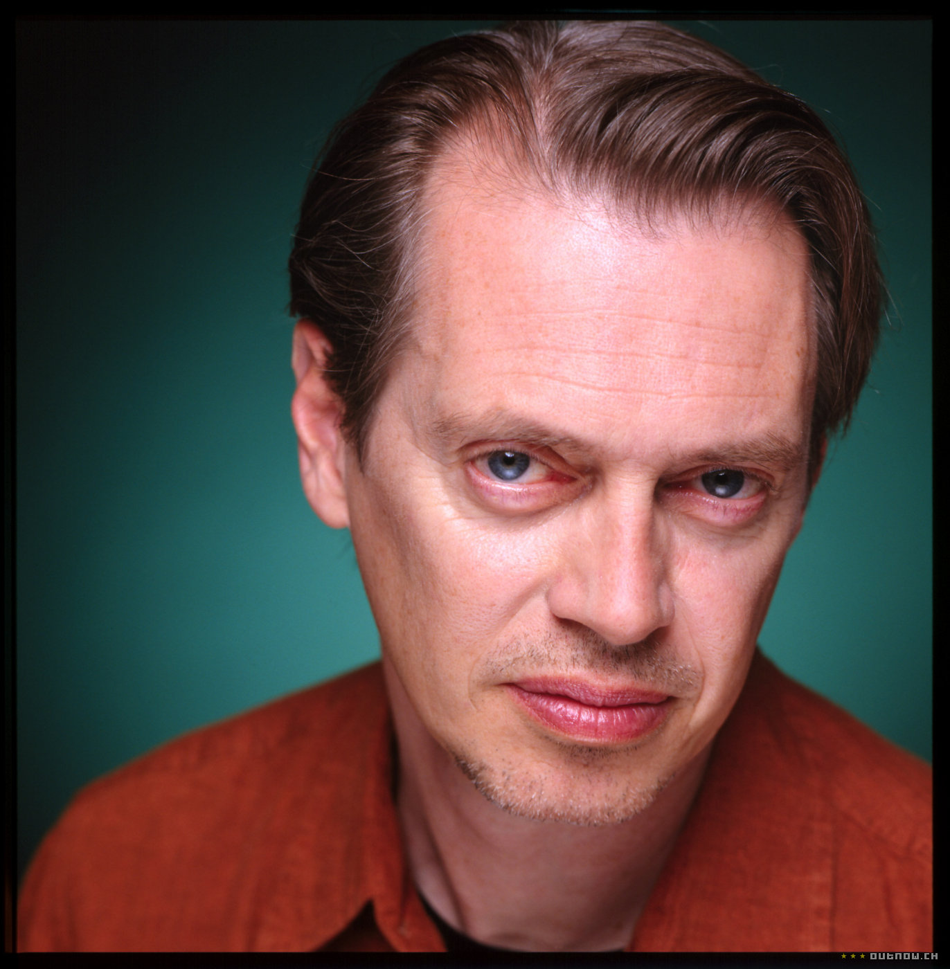 Steve Buscemi ~ Famosos Católicos