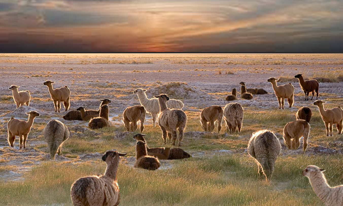 NephiCode: The Jaredite Animals in the Land of Promise – Part II