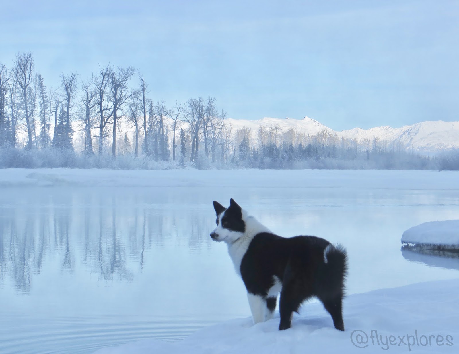 Fly Explores: Eklutna Tailrace