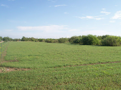 South Texas Ranchette