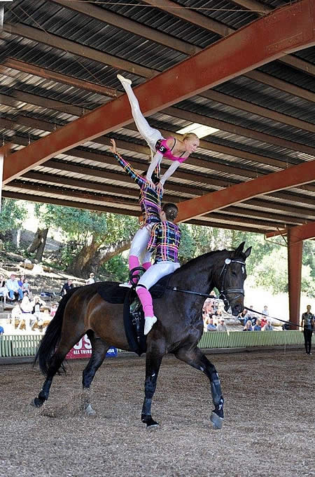 Via West Campus: Adaptive Vaulting at Cooper Garrod! Great program for ...